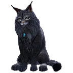 Cat - BDO Codex