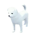 Dog - BDO Codex
