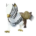 Young Griffon - BDO Codex