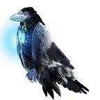 Crow - BDO Codex