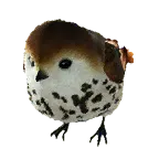 Long-tailed Rosefinch - BDO Codex