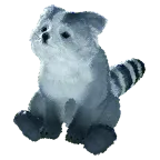 Red Panda - BDO Codex