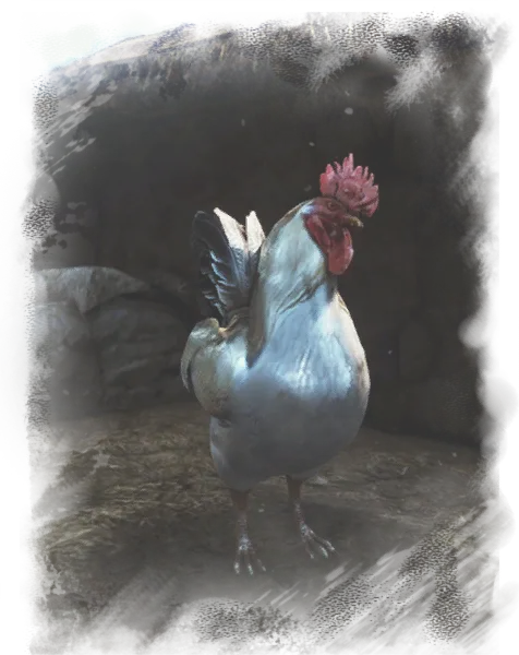 [Storybook] Dallae Flower - BDO Codex