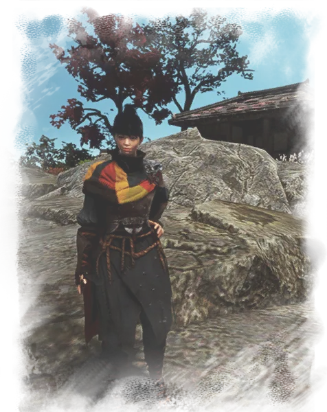 [หนังสือภาพเรื่องราว] เทพหมาป่าขาว - BDO Codex