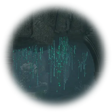 Upside-Down Seaweed - BDO Codex