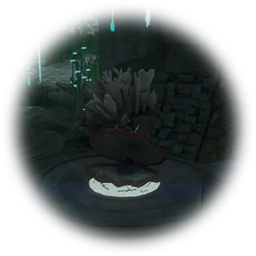 Pearl in a Shell - BDO Codex