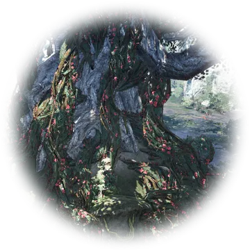 Vine Flower Tree - BDO Codex
