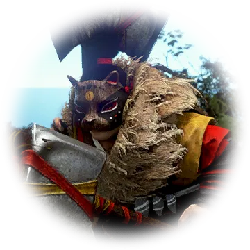 Raccoon Bandit - BDO Codex